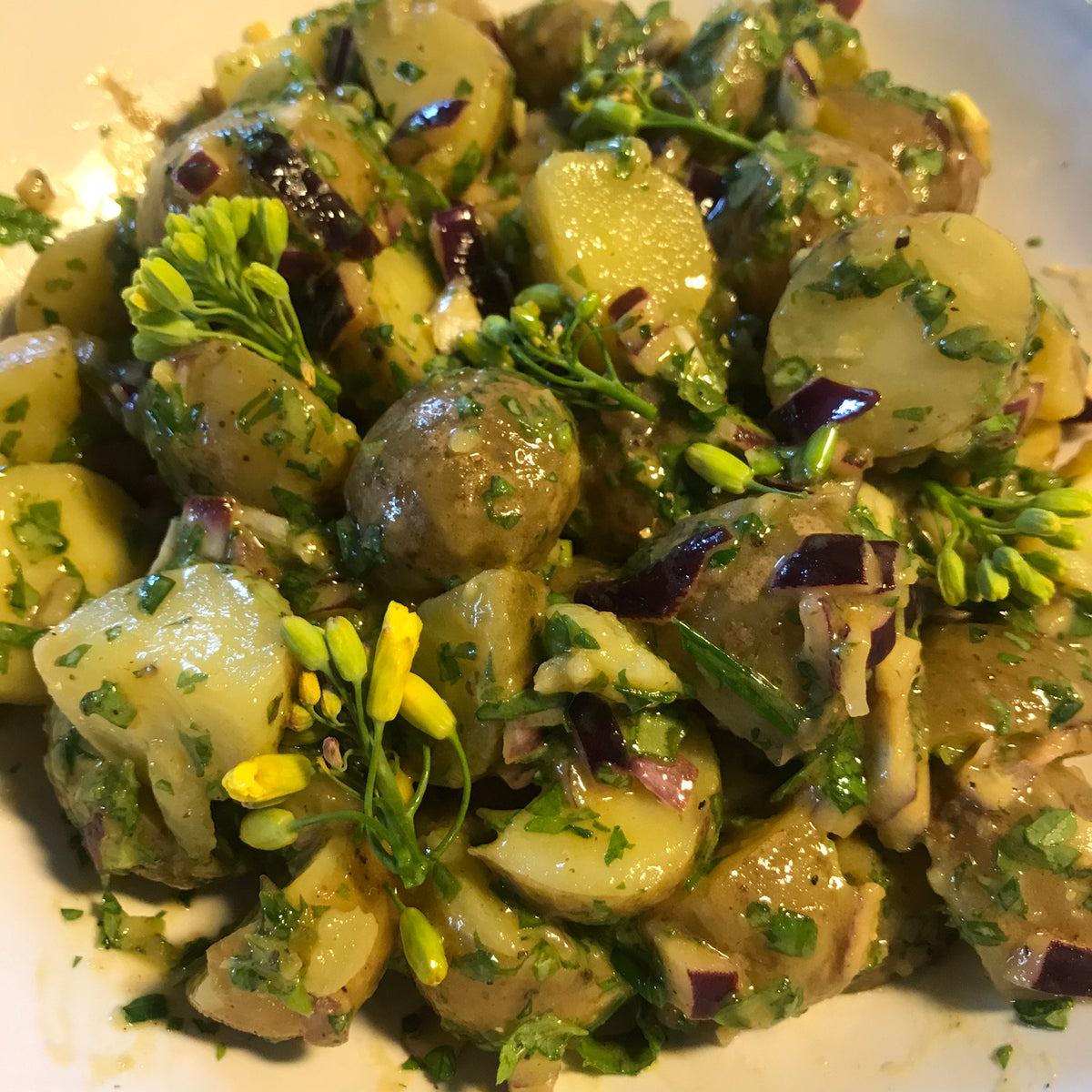 Kartoffelsalat – Biotrino