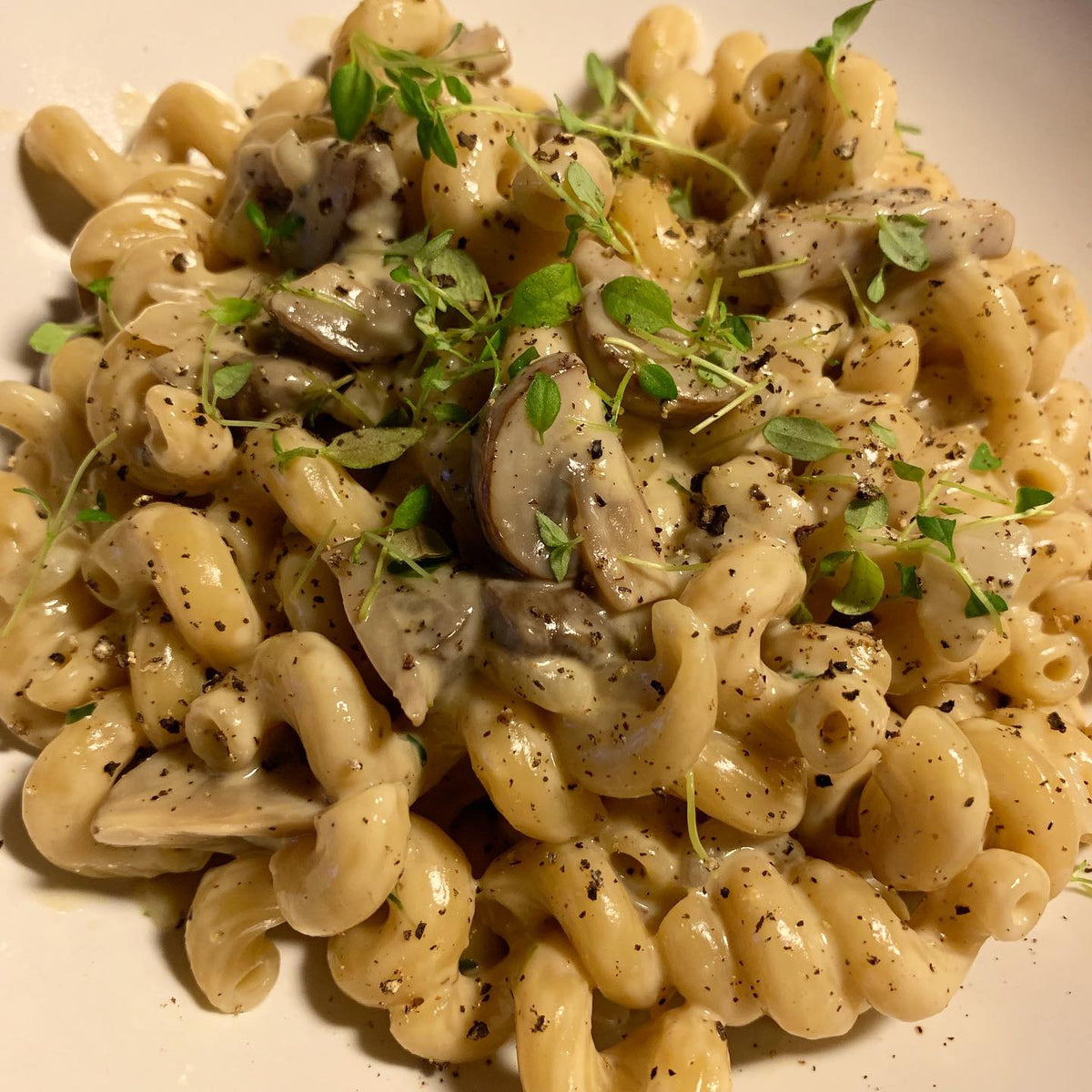 One Pot pasta med champignon – Biotrino